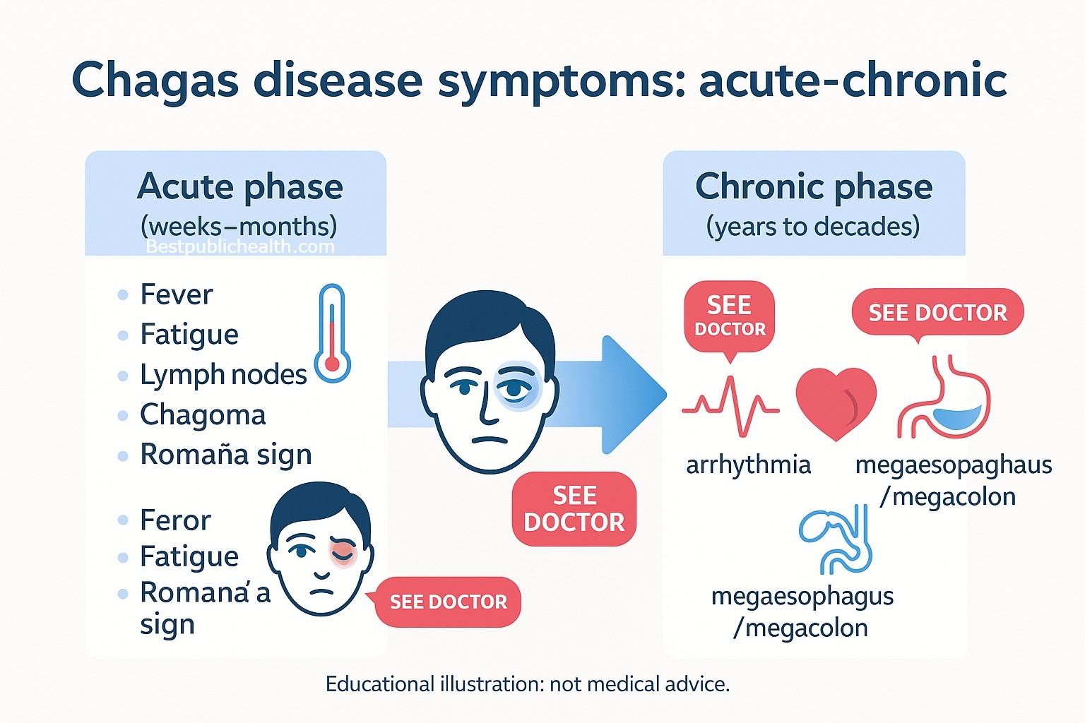 Chagas Disease in the U.S.: 2025 Map, Symptoms, Testing